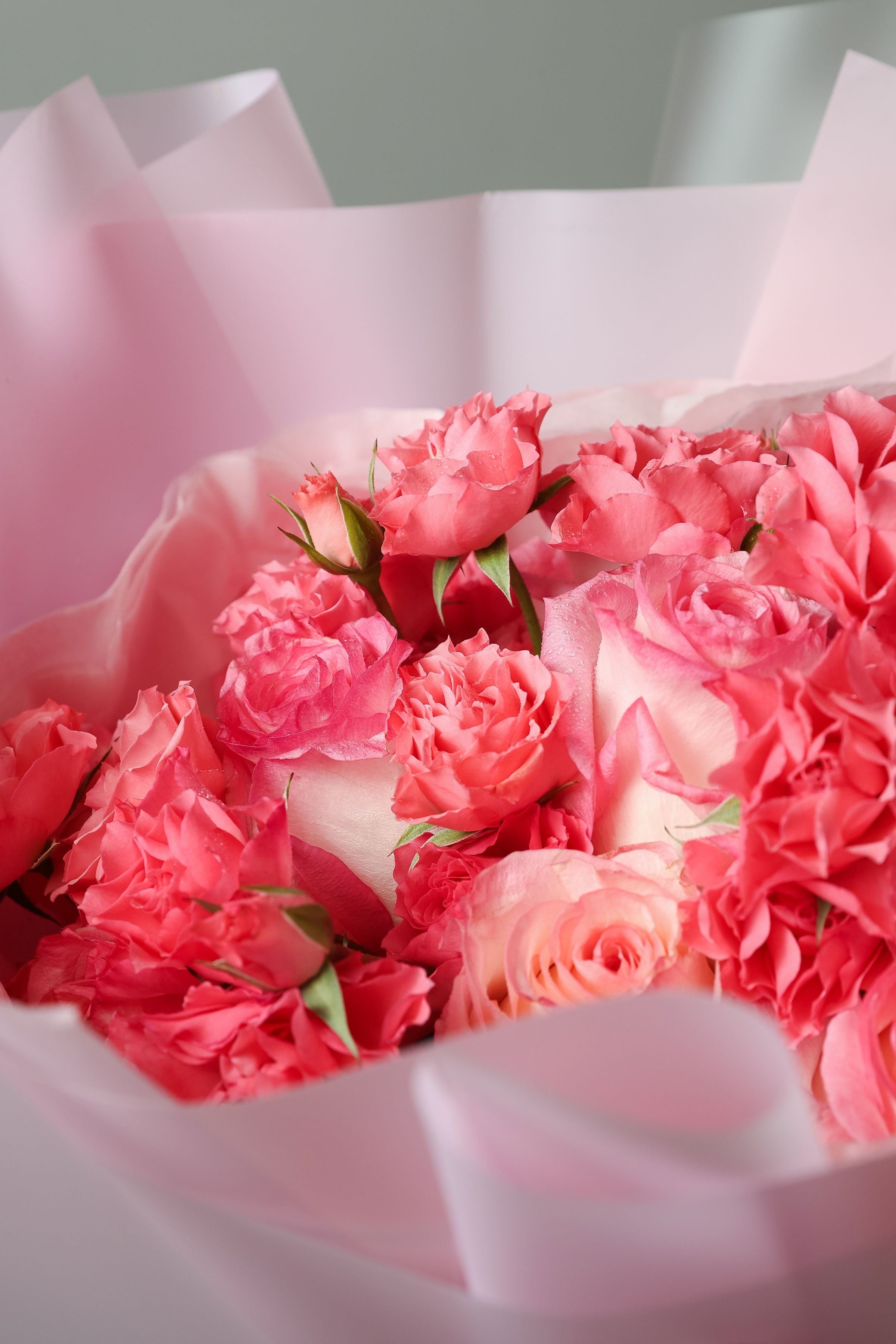 Roses Delivery Delaware | Red, Pink & White Roses – Solo Flowers
